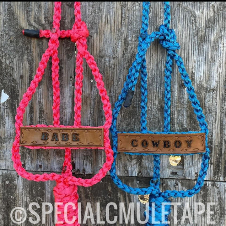 Halters with Names – Special C Muletape