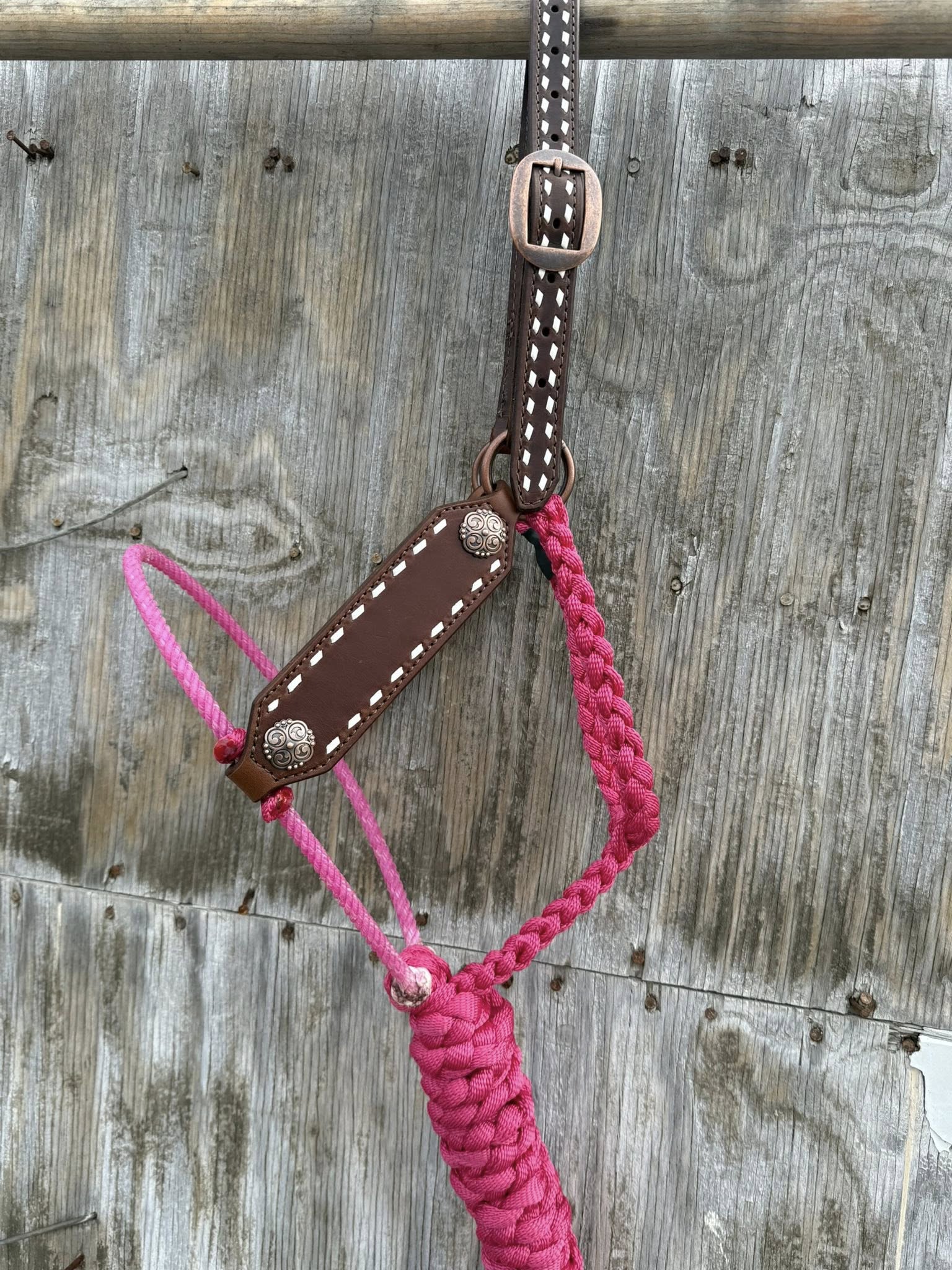 SSCL Leather & Lariat Halters w/ Buckstitching – Special C Muletape